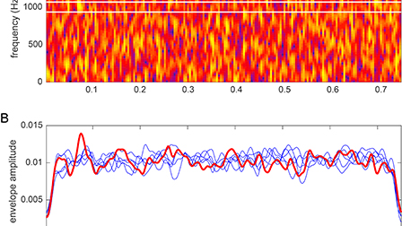 Probing temporal modulation detection in white noise using intrinsic ...