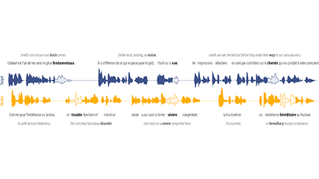 Vocal and semantic cues for the segregation of long concurrent speech ...