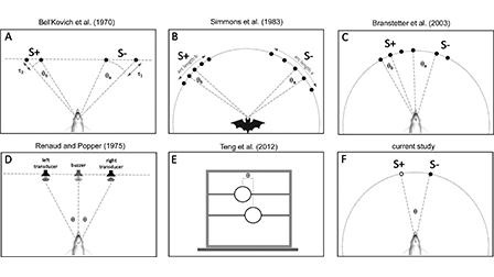 Spatial acuity of the bottlenose dolphin (Tursiops truncatus) biosonar ...