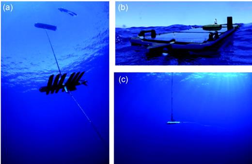 A wave glider-based, towed hydrophone array system for autonomous, real-time, passive acoustic ...