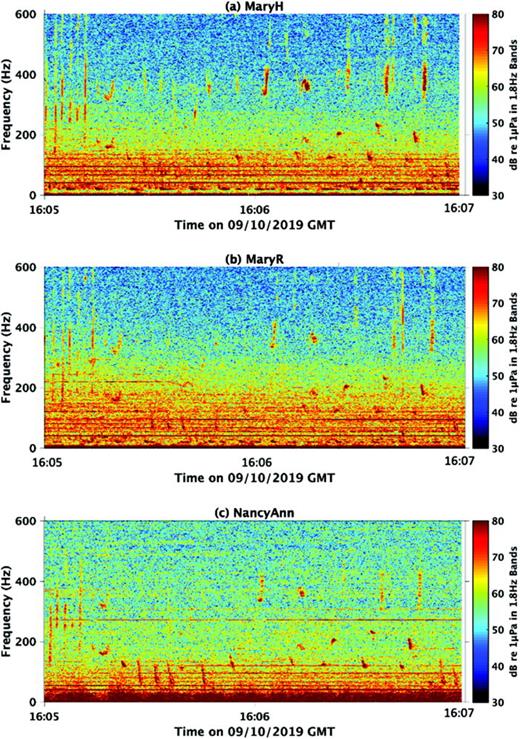 A wave glider-based, towed hydrophone array system for autonomous, real-time, passive acoustic ...