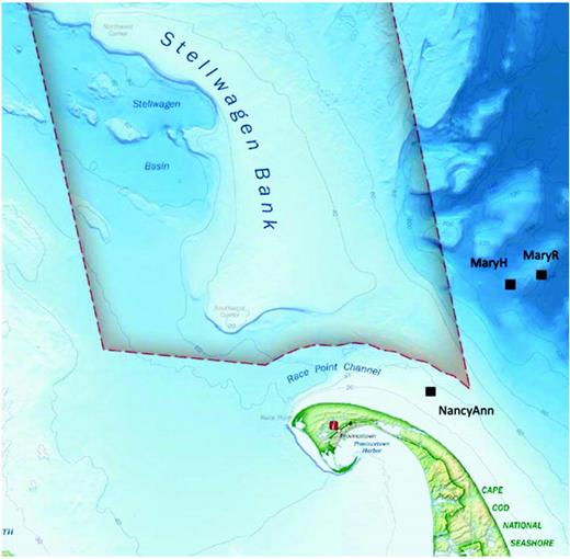 A wave glider-based, towed hydrophone array system for autonomous, real ...