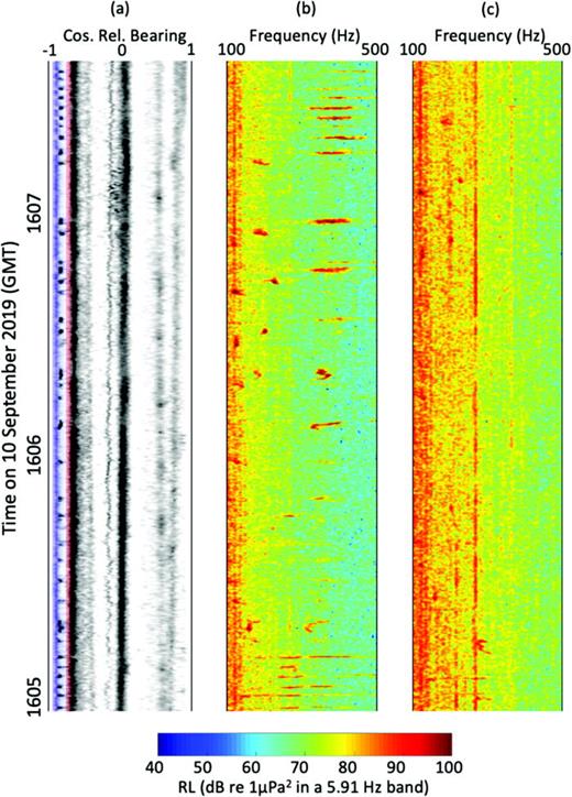 A wave glider-based, towed hydrophone array system for autonomous, real-time, passive acoustic ...