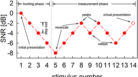 The one-up one-down adaptive (staircase) procedure in speech-in-noise ...