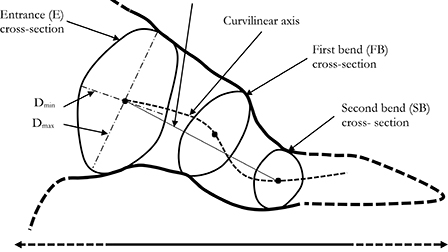 Morphologic clustering of earcanals using deep learning algorithm to ...