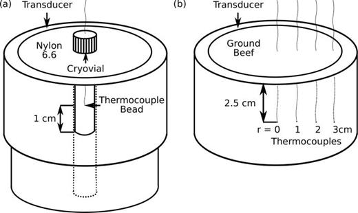 Experiments and simulations demonstrating the rapid ultrasonic ...