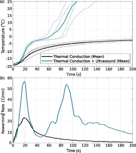 Experiments and simulations demonstrating the rapid ultrasonic ...
