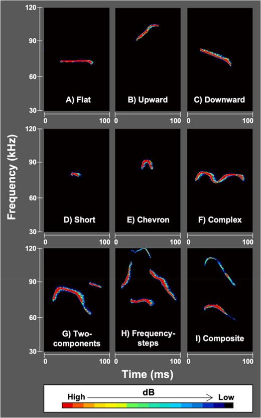 A review of ultrasonic vocalizations in mice and how they relate to ...