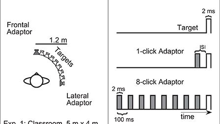 Time scales of adaptation to context in horizontal sound localization ...