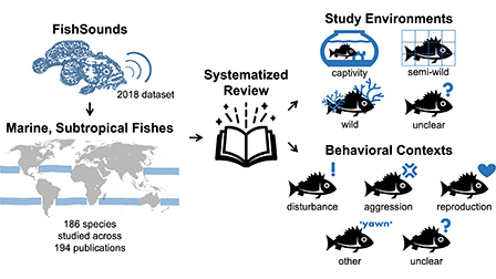 The importance of context in the acoustic behaviors of marine ...
