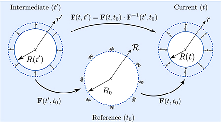 A unifying Rayleigh-Plesset-type equation for bubbles in viscoelastic ...
