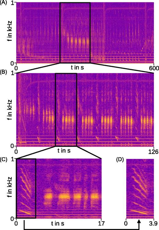 Development of a machine learning detector for North Atlantic humpback ...
