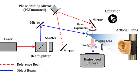 Effect of sound-induced vibrations of the pinna on head-related ...