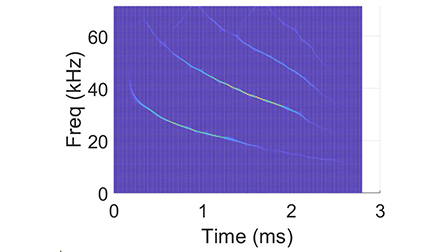 Parameter estimation of the hyperbolic frequency-modulated bat calls using hyperbolic scale ...