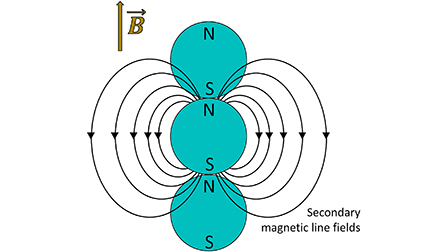 A magnetic phantom technique for investigating structural effects on ...