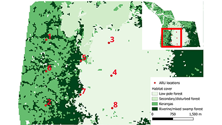 Automated detection of Bornean white-bearded gibbon (Hylobates ...