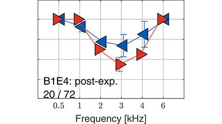 Multispecies initial numerical validation of an efficient algorithm ...