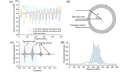 Underwater target classification based on the combination of dolphin click trains and ...