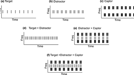Auditory streaming and rhythmic masking release in Cope's gray treefrog ...