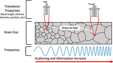 Quantifying the breakdown of single scattering for ultrasonic ...