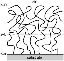 Scaling behavior of a brush–homopolymer interface in the limit of high ...