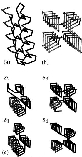 A minimal proteinlike lattice model: An alpha-helix motif | The Journal ...