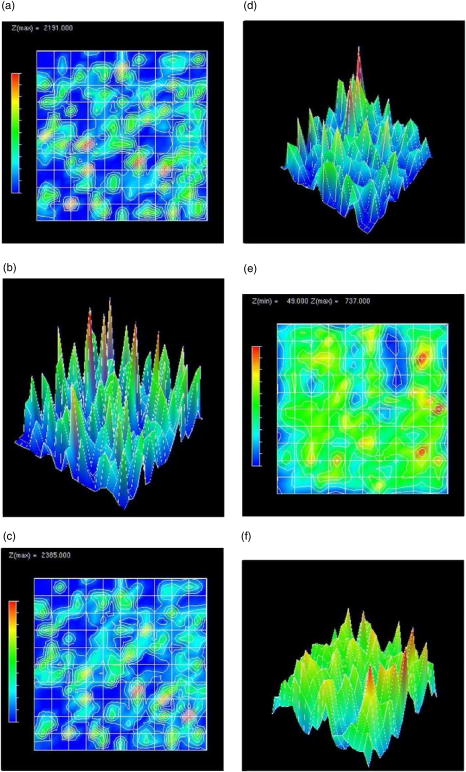 Multifractal analysis of dynamic potential surface of ion-conducting materials | The Journal of ...