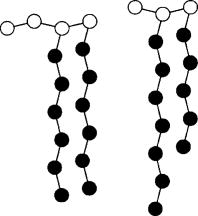 Effect of chain length and asymmetry on material properties of bilayer ...