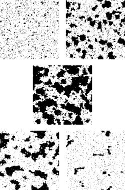 Effects of lateral diffusion on morphology and dynamics of a ...
