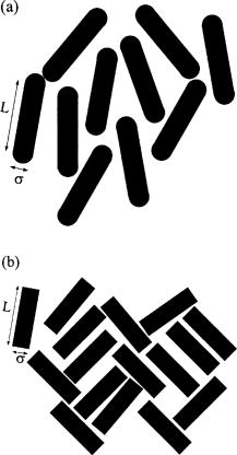 Effect of particle geometry on phase transitions in two-dimensional ...