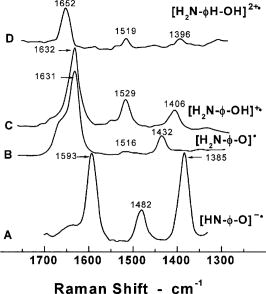 Time resolved resonance Raman observation of the extreme protonation ...
