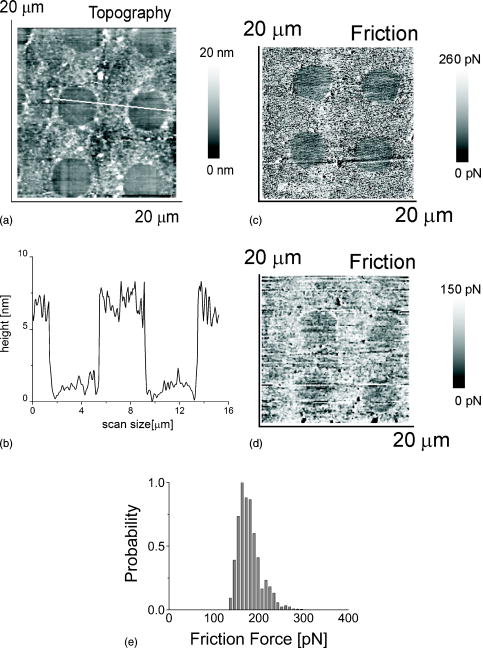 Friction force microscopy as an alternative method to probe molecular ...