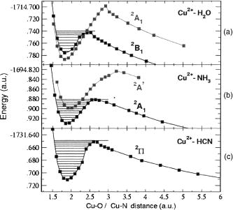 On the existence and lifetimes of Cu2+ complexes with water, ammonia ...