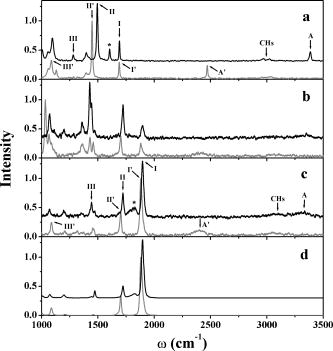 IR spectra of N-methylacetamide in water predicted by combined quantum ...