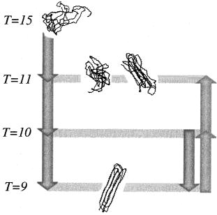 A manifestation of the Ostwald step rule: Molecular-dynamics ...