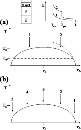 Adsorption at the liquid-vapor surface of a binary liquid mixture | The ...