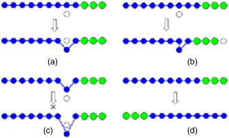 Cylinder-gyroid-lamella transitions in diblock copolymer solutions: A ...