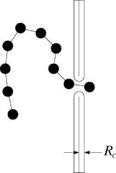 Polymer translocation: The effect of backflow | The Journal of Chemical ...