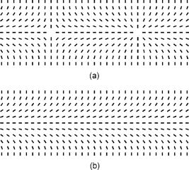 Dynamic interactions between nematic point defects in the spinning ...