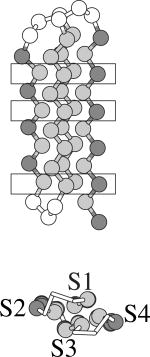 Local-structural diversity and protein folding: Application to all-β ...