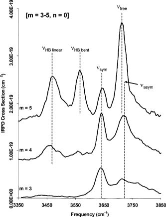 Mimicking solvent shells in the gas phase. II. Solvation of K+ | The ...