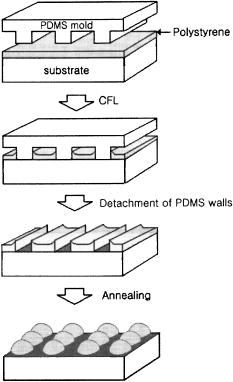 Anisotropic rupture of polymer strips driven by Rayleigh instability ...