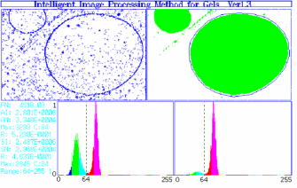 Graphical analysis for gel morphology. III. Gel size and temperature ...