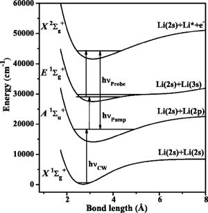 Control of Li2 wave packet dynamics by modification of the quantum ...