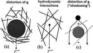 Diffusion of spheres in isotropic and nematic suspensions of rods | The ...