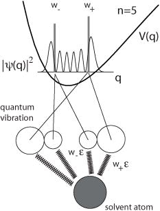 Simulation of vibrational dephasing of I2 in solid Kr using the ...