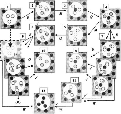 Accelerating molecular simulations by reversible mapping between local ...