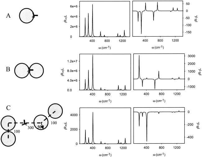 Matrix formulation of the surface-enhanced Raman optical activity ...