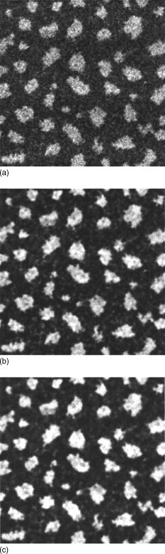 Computer simulation of phase separation under a double temperature ...