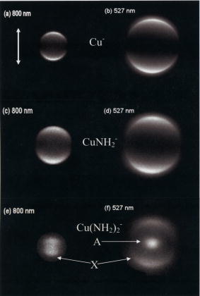 Photoelectron imaging of copper and silver mono- and diamine anions ...